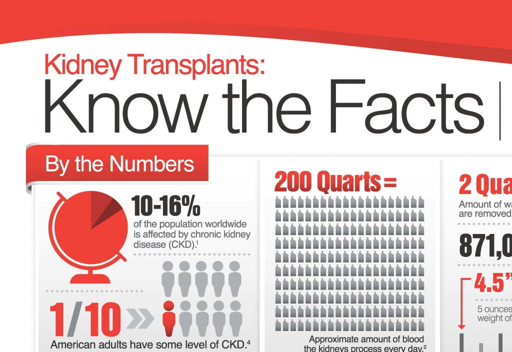 Memorial Health Blog | Kidney Transplants: Know the Facts Infographic ...